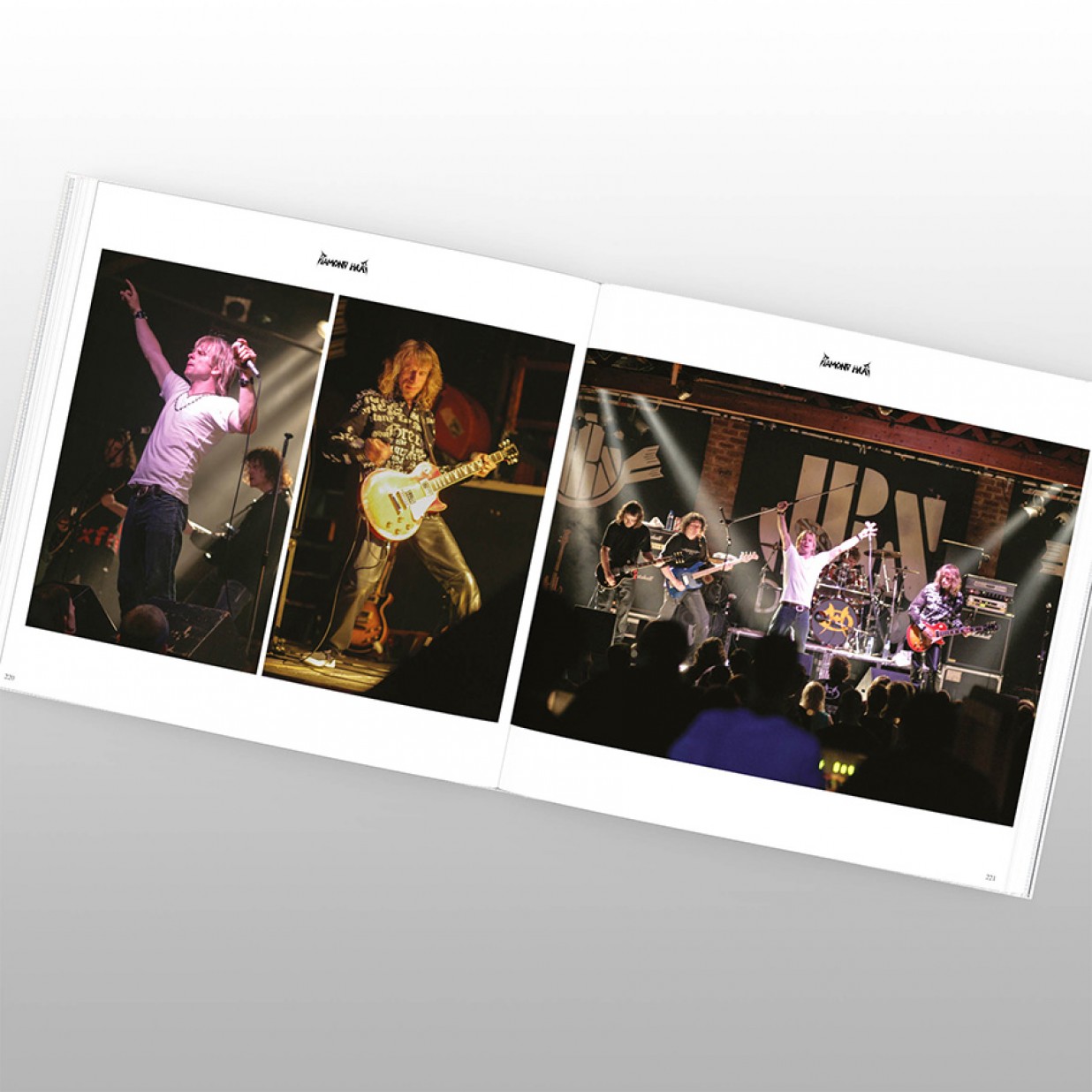 Diamond Head - The Illustrated History - RSLE
